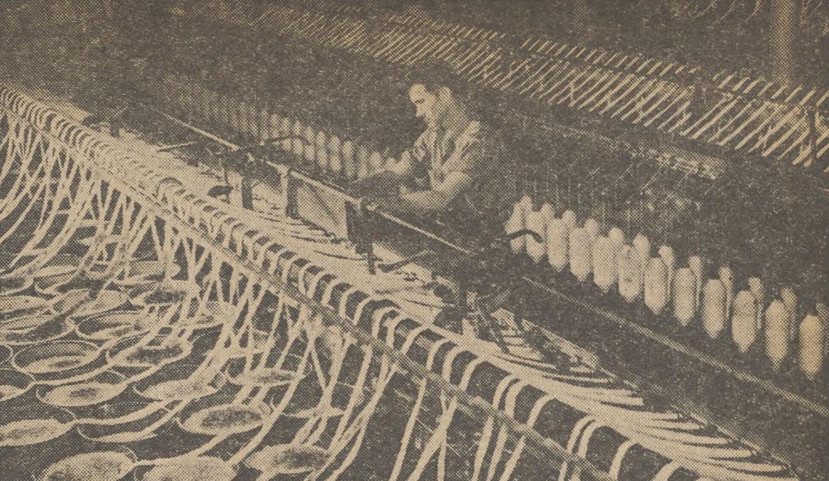 Trust the Bridge That Carried Us Over: The Failure of Operation Dixie ...